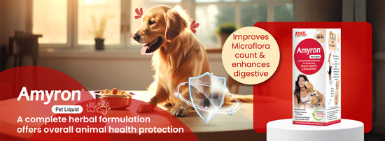 Amyron Pet Liquid – Aimil Pharmaceuticals
