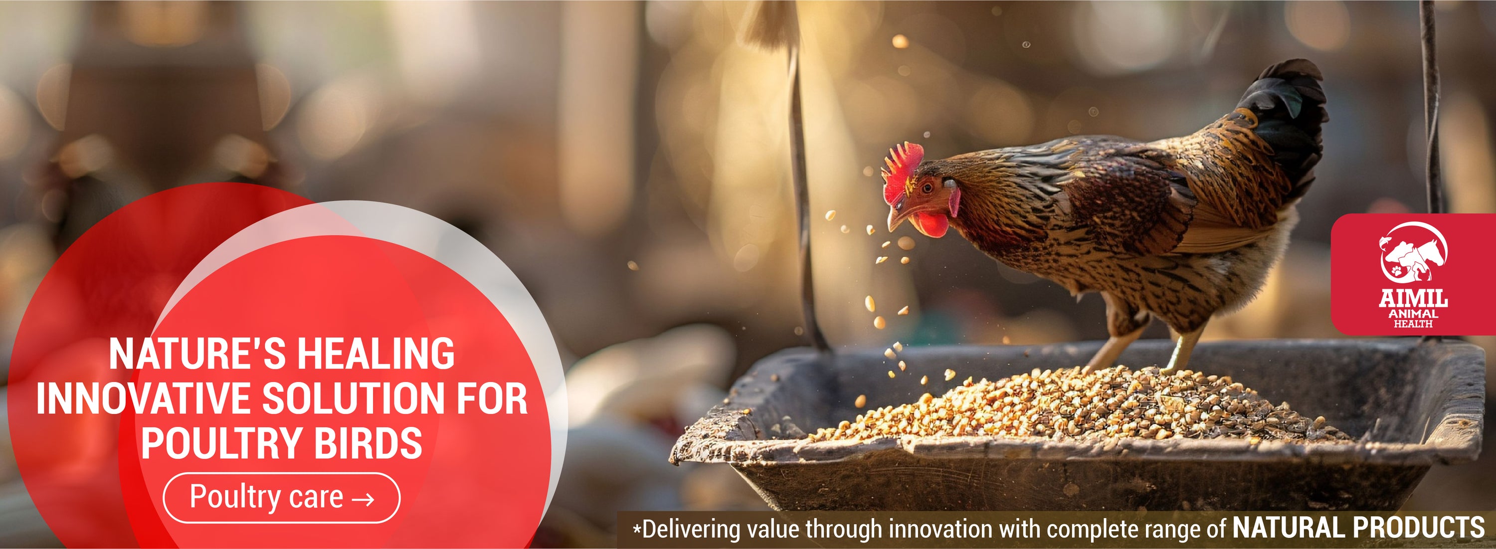 Poultry Care – Aimil Pharmaceuticals